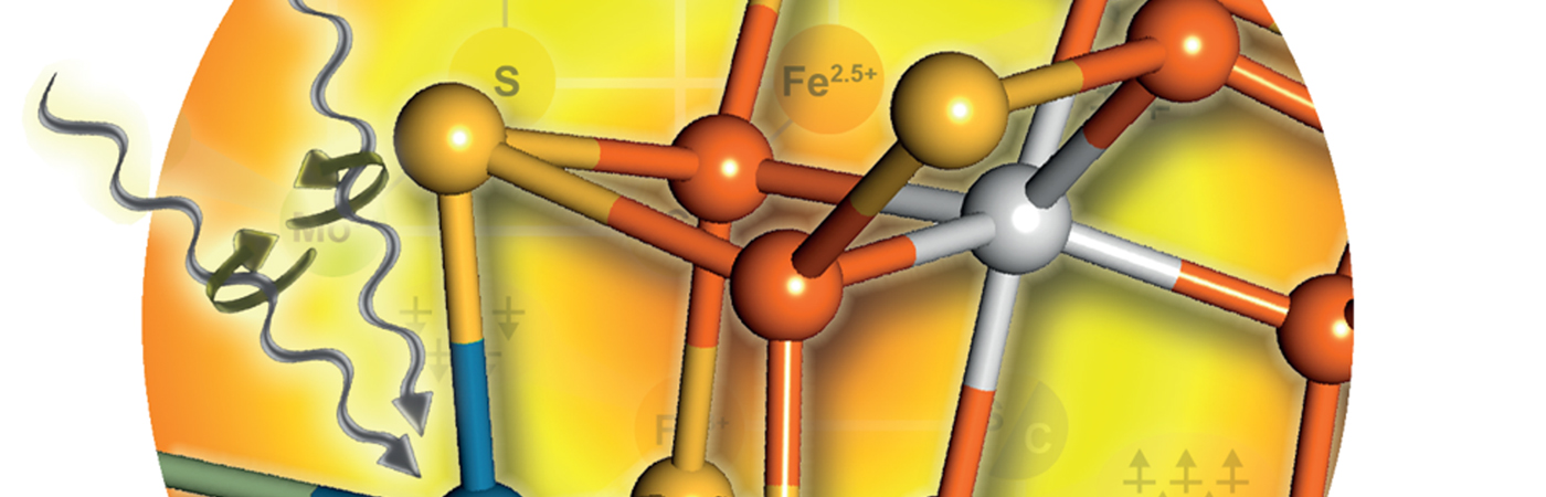 The Advanced Photon Source (APS)