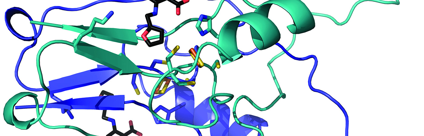 The Advanced Photon Source (APS)