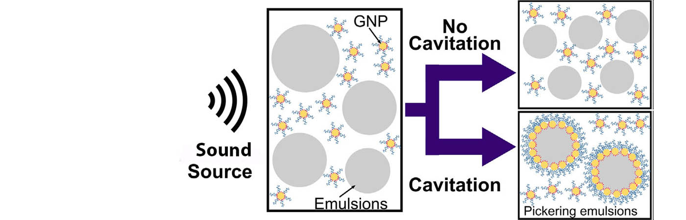 The Advanced Photon Source (APS)