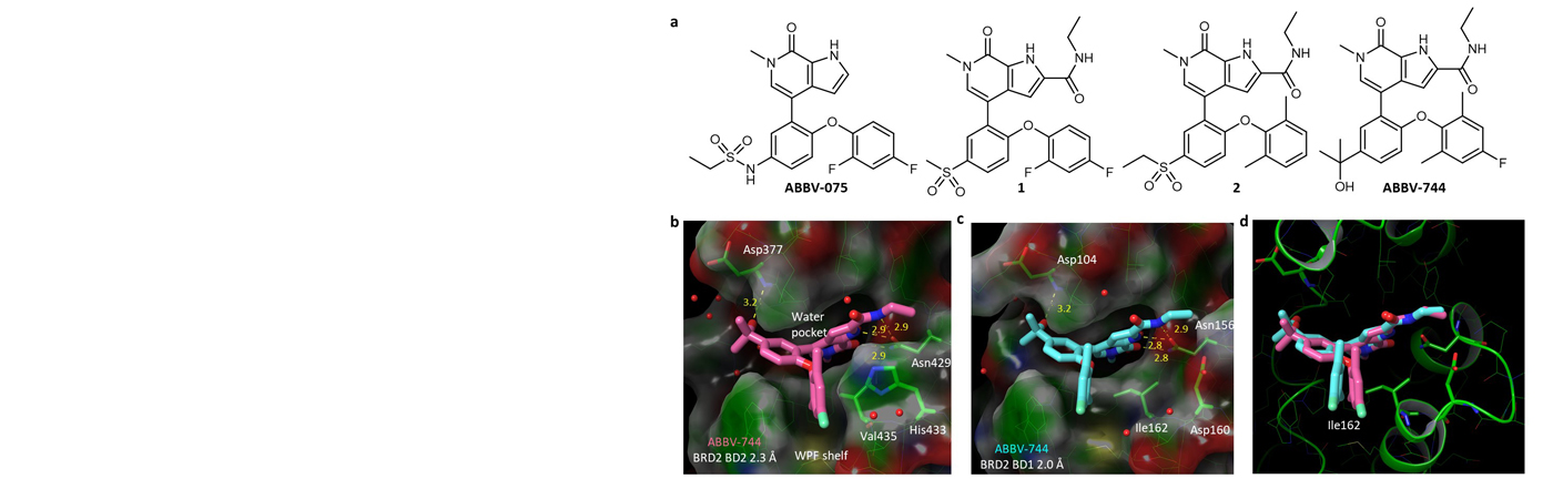 The Advanced Photon Source (APS)