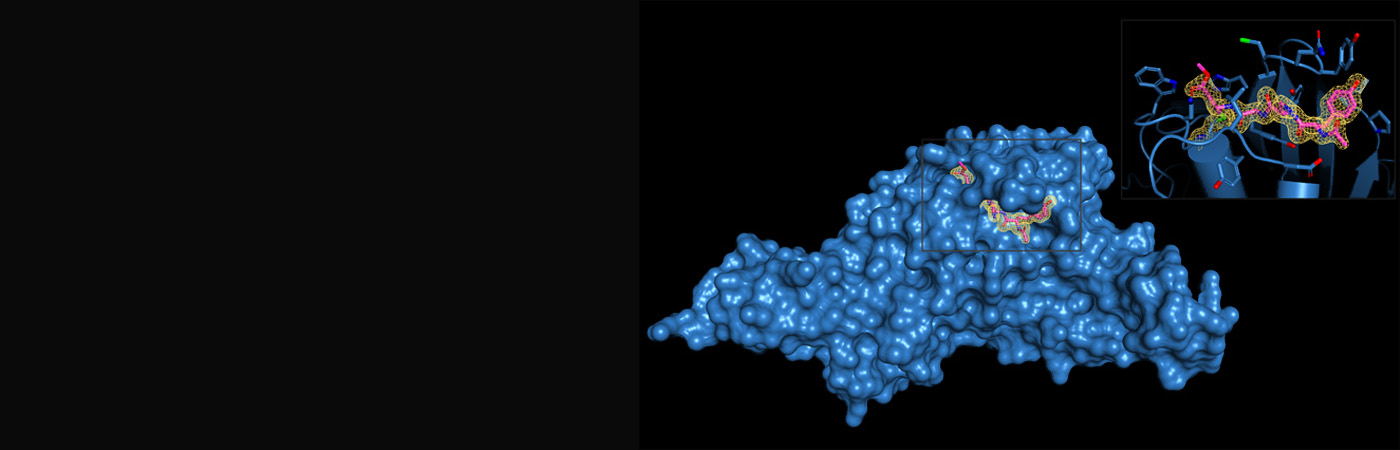 The Advanced Photon Source (APS)