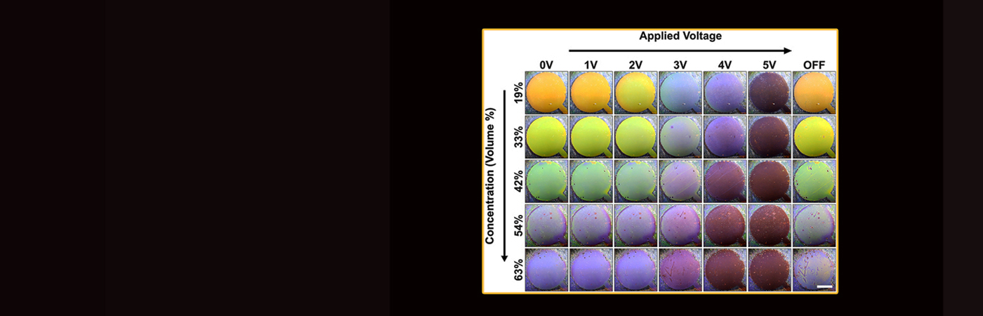 The Advanced Photon Source (APS)