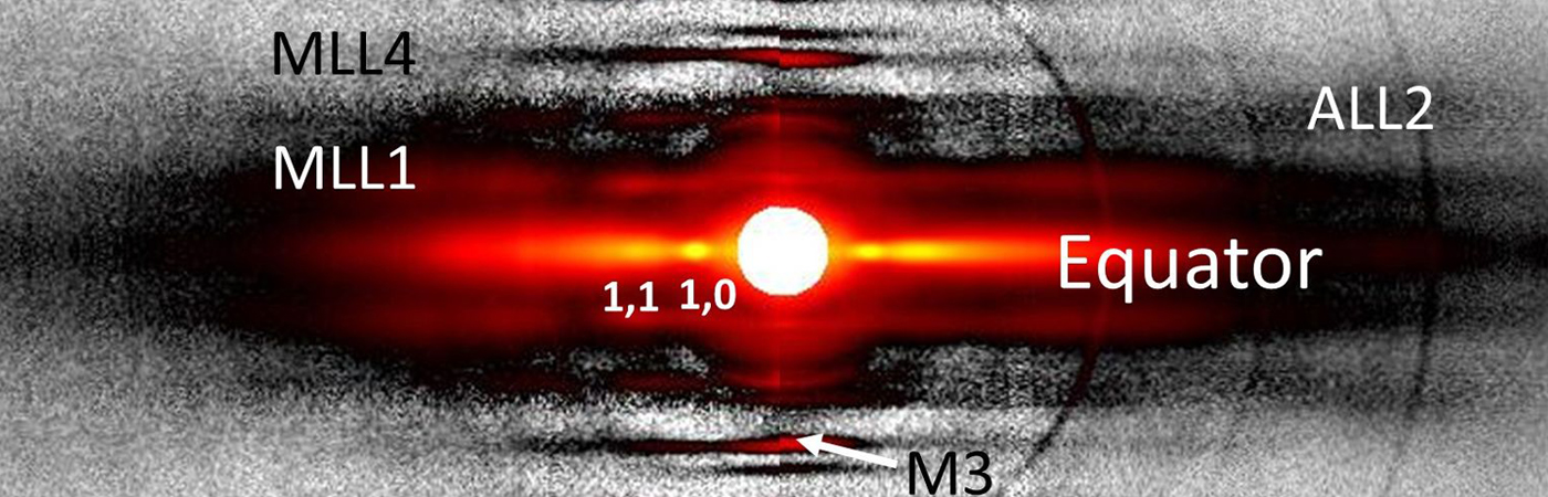The Advanced Photon Source (APS)