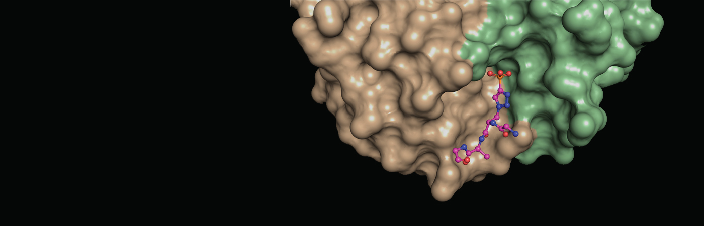 The Advanced Photon Source (APS)