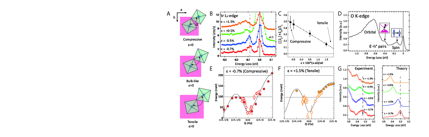 The Advanced Photon Source (APS)