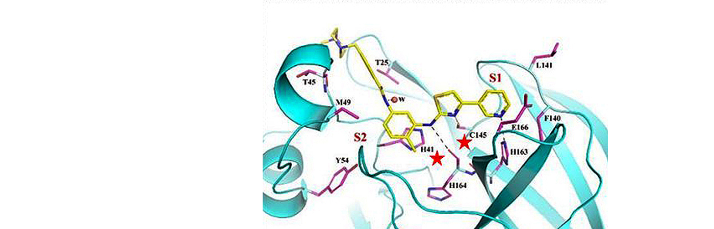 The Advanced Photon Source (APS)