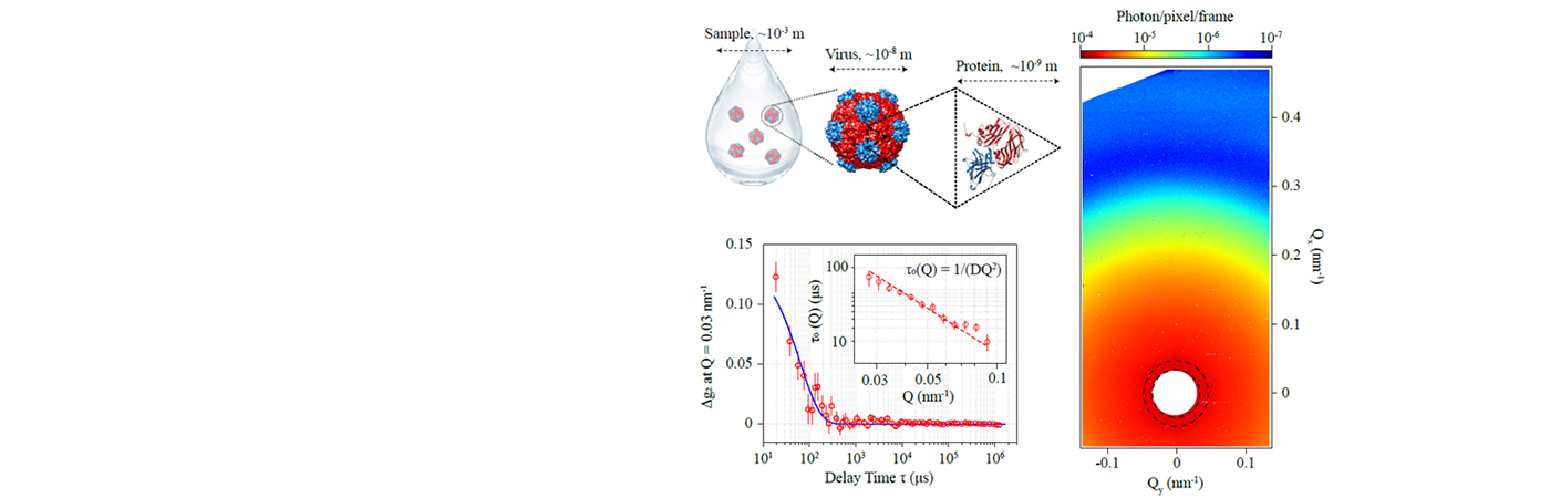 The Advanced Photon Source (APS)