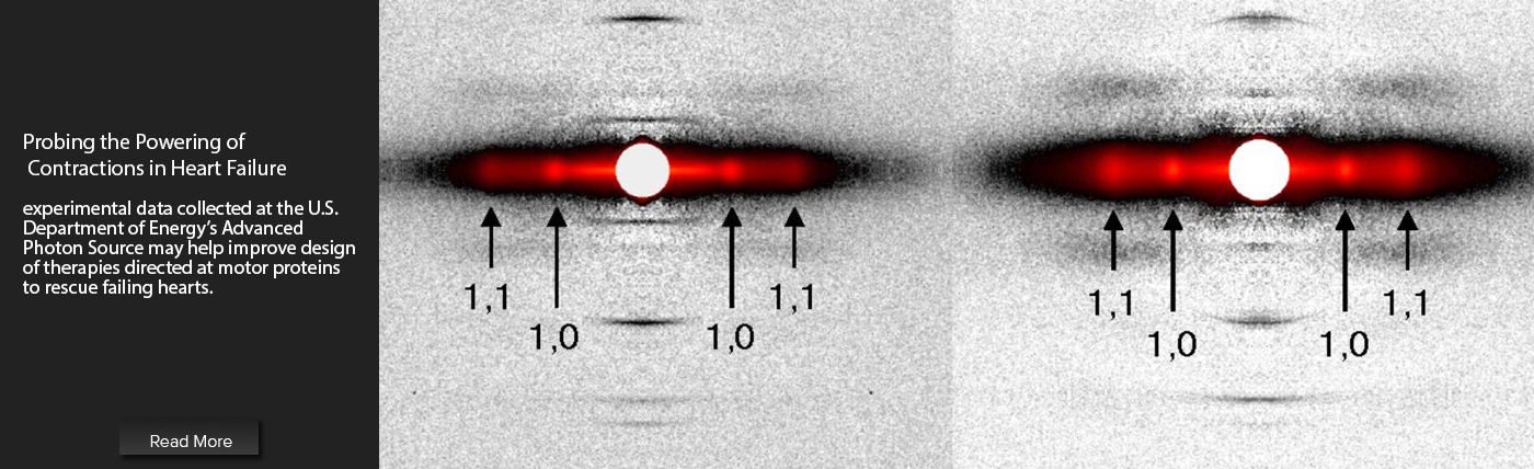 The Advanced Photon Source (APS)