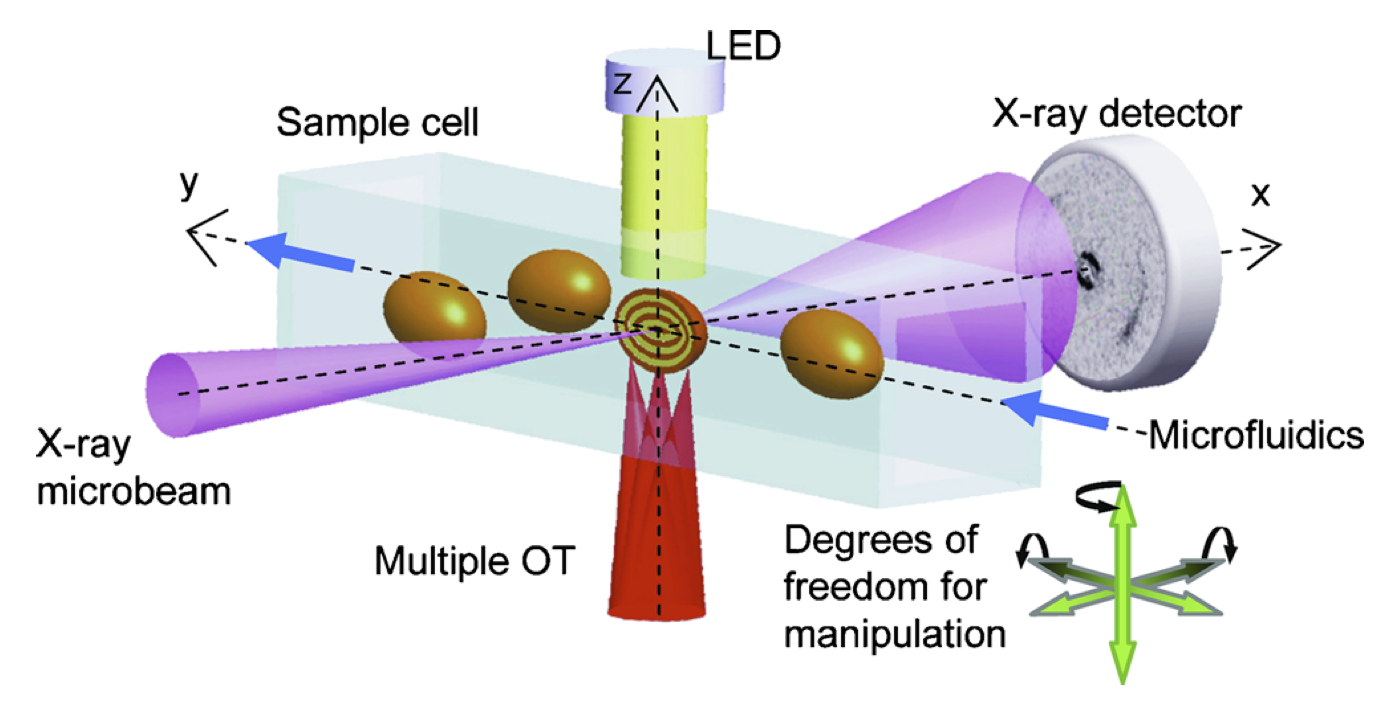 Laser Control of Atoms, Molecules, Nanoparticles, and X-ray Processes | Advanced Photon Source