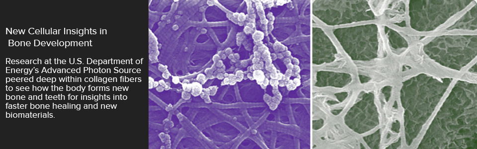 Advanced Photon Source | Welcome