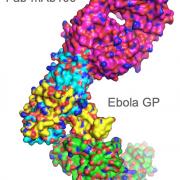 The Advanced Photon Source (APS)